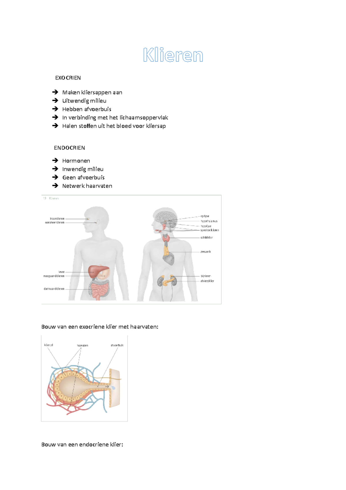 Klieren 2 - Klieren EXOCRIEN Maken kliersappen aan Uitwendig milieu ...