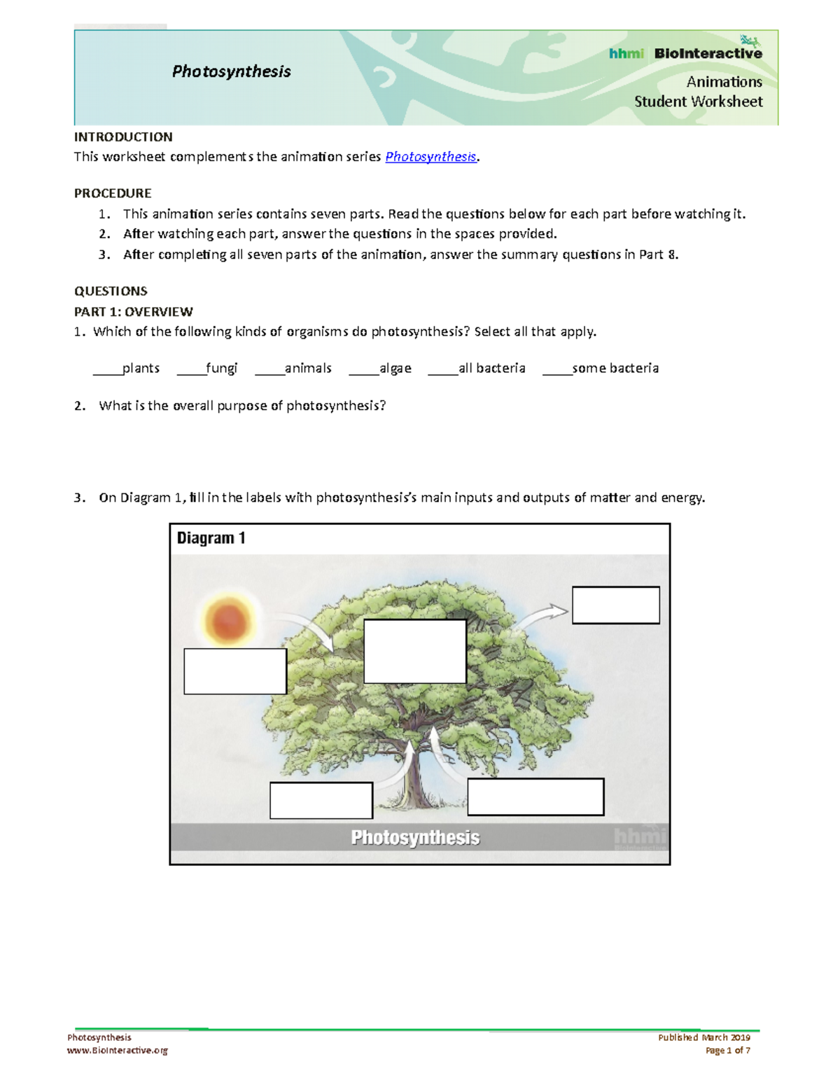 Chapter 10 Photosynthesis Interactive Study Guide INTRODUCTION This