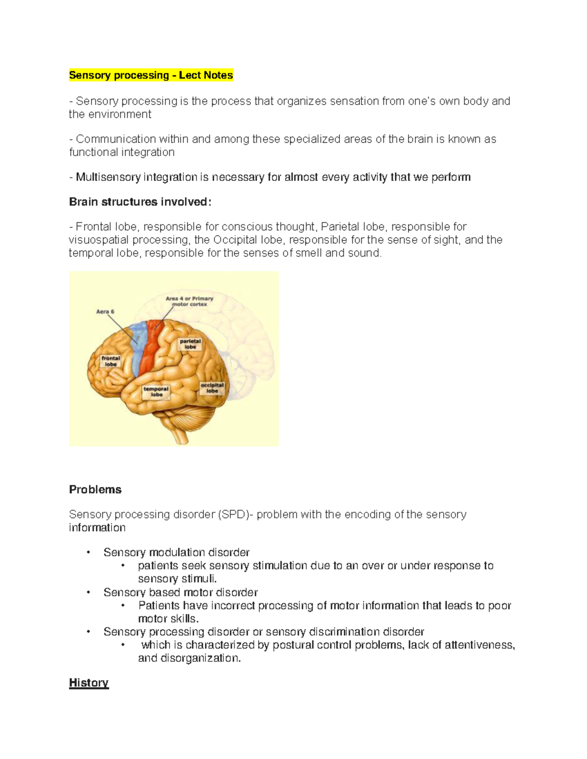 Sensory Processing Lect Notes Sensory Processing Lect Notes Sеnsory Procеssing Is Thе