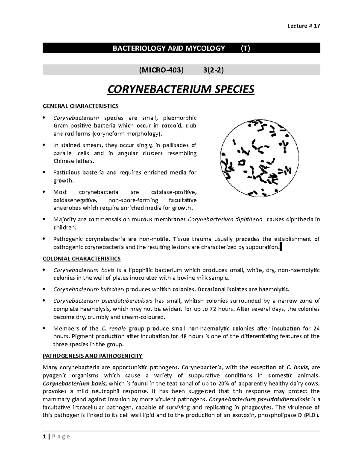 Lecture # 17 - Lecture # 17 BACTERIOLOGY AND MYCOLOGY (T) (MICRO-403) 3 ...