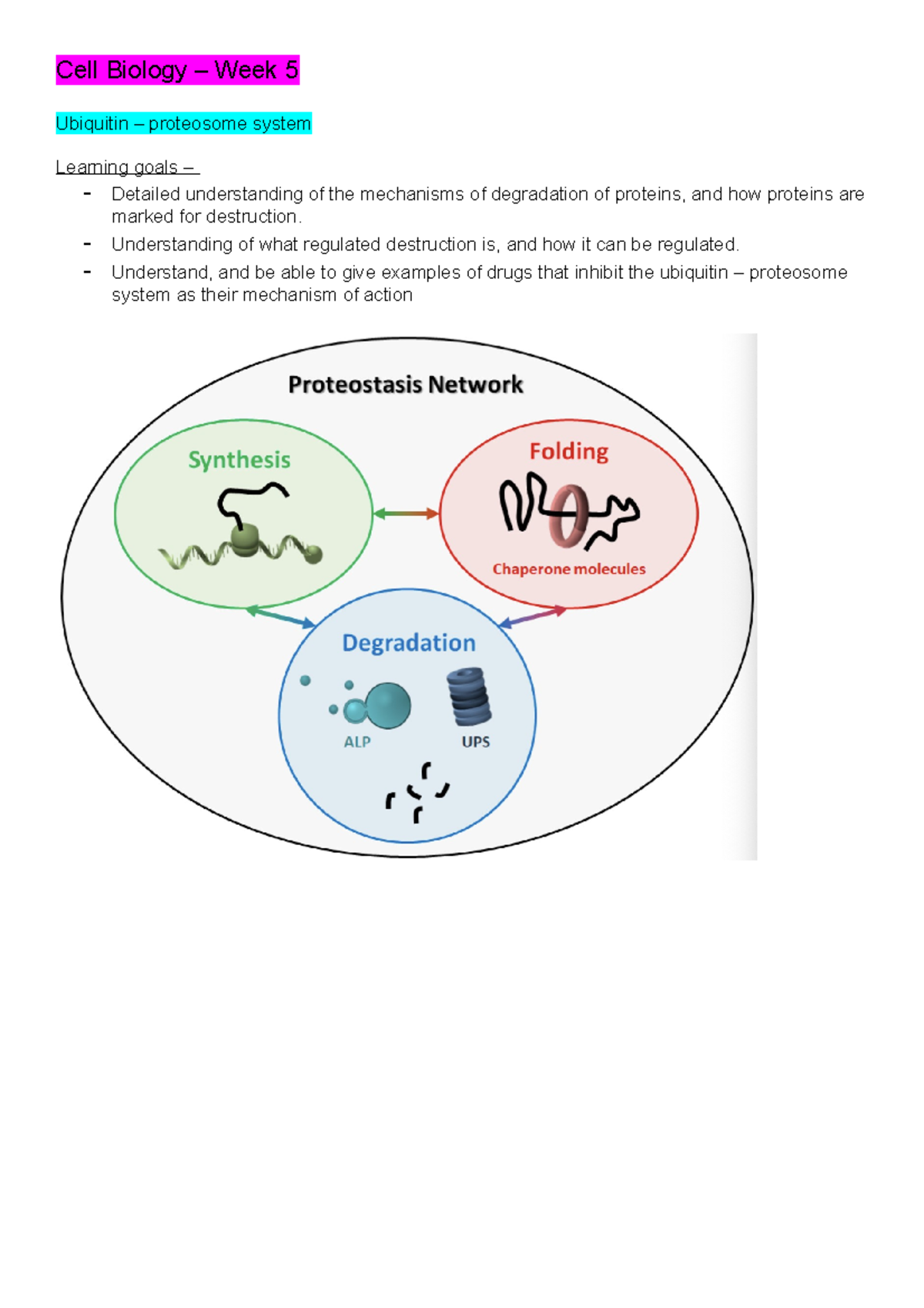 Cell Biology - Week 5 - Lecture notes - Cell Biology – Week 5 Ubiquitin ...