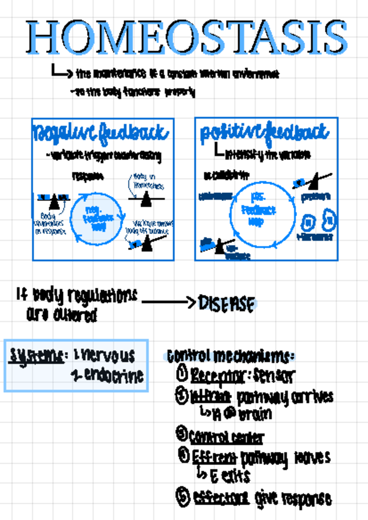 Homeostasis One-Pager - HOMEOSTASISHOMEOSTASIS the maintenance of a ...