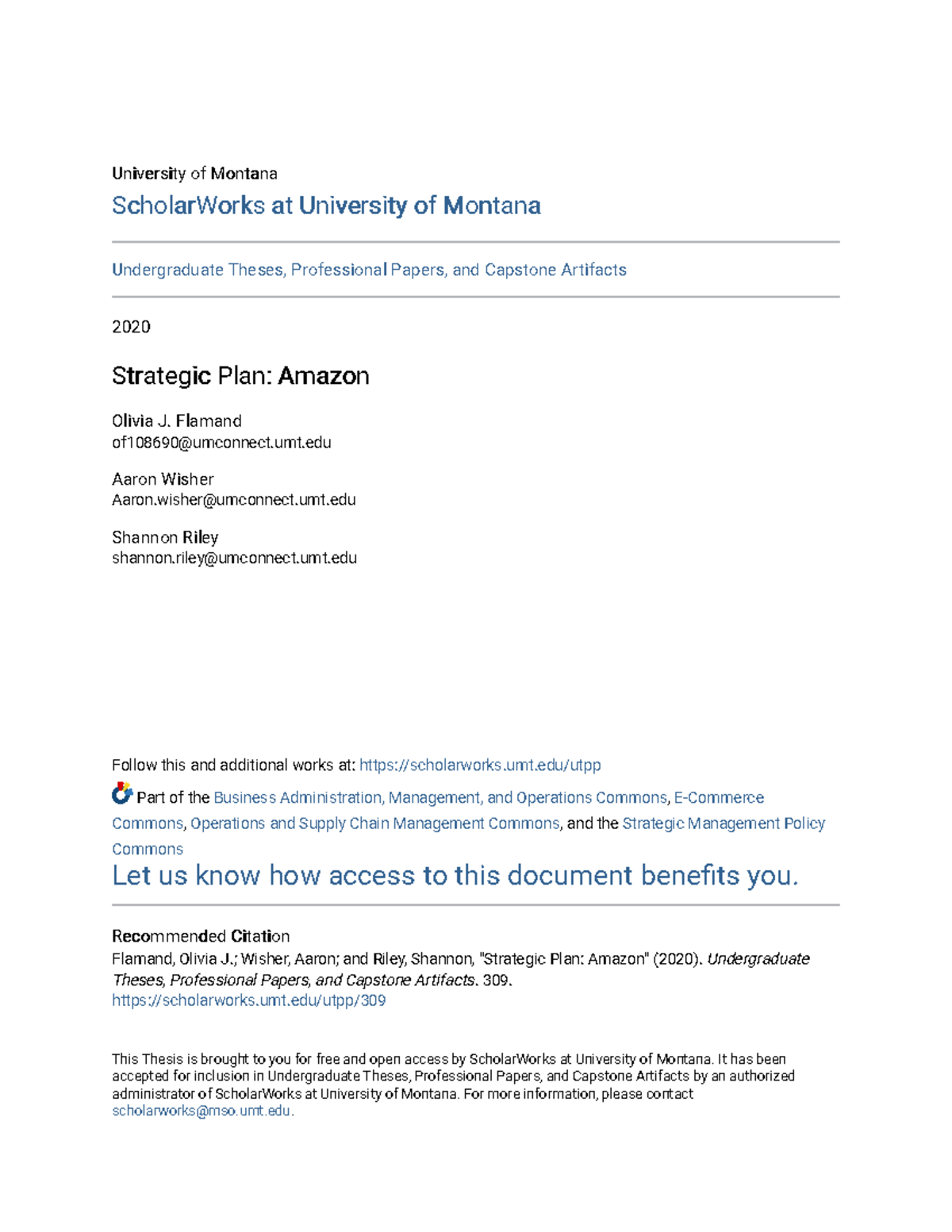 Strategic Plan Amazon - Good - University of MontanaUniversity of ...