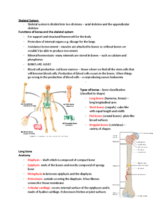 Anatomical terminology - Anatomical The system functions in providing ...
