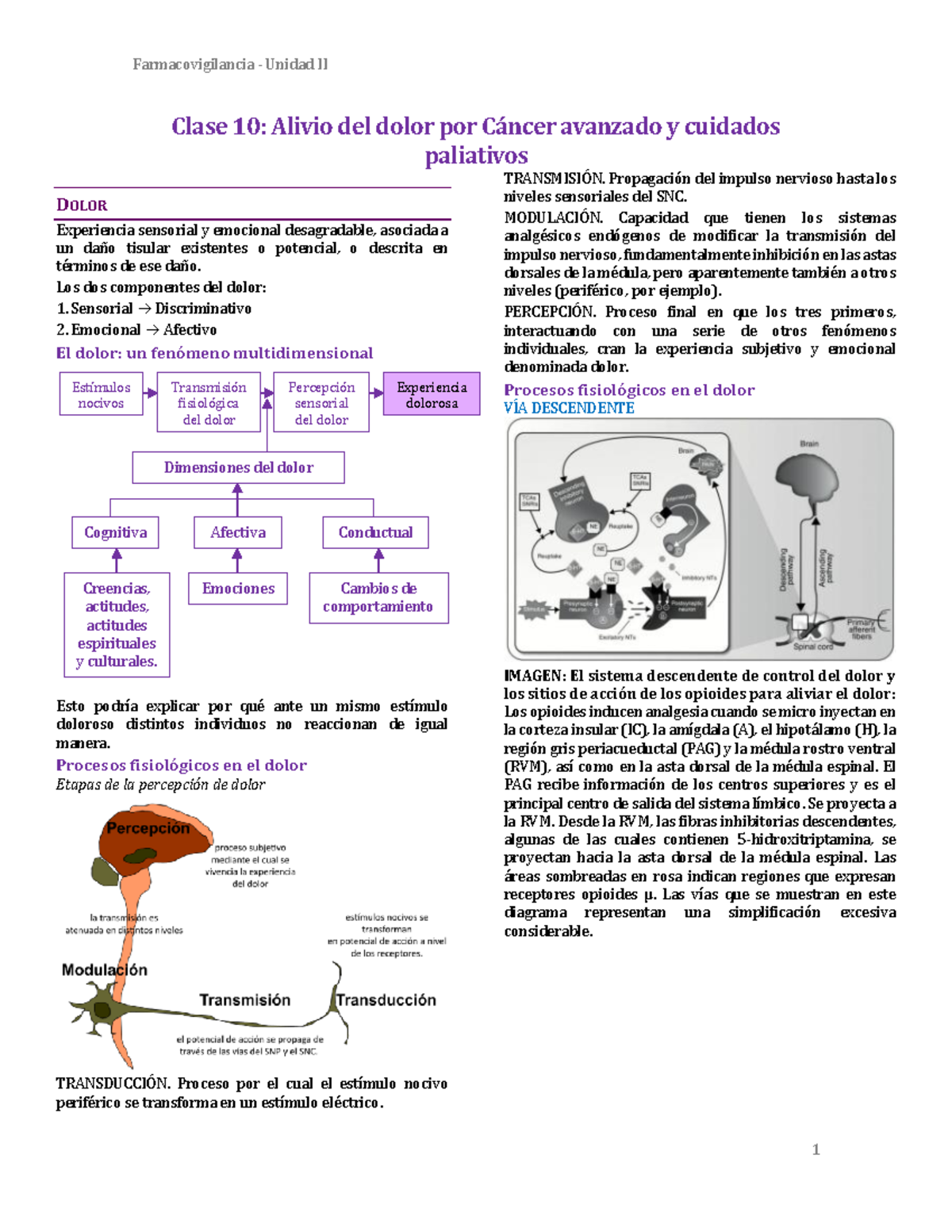 Clase 10 - Alivio del dolor por Cáncer avanzado y cuidados paliativos ...