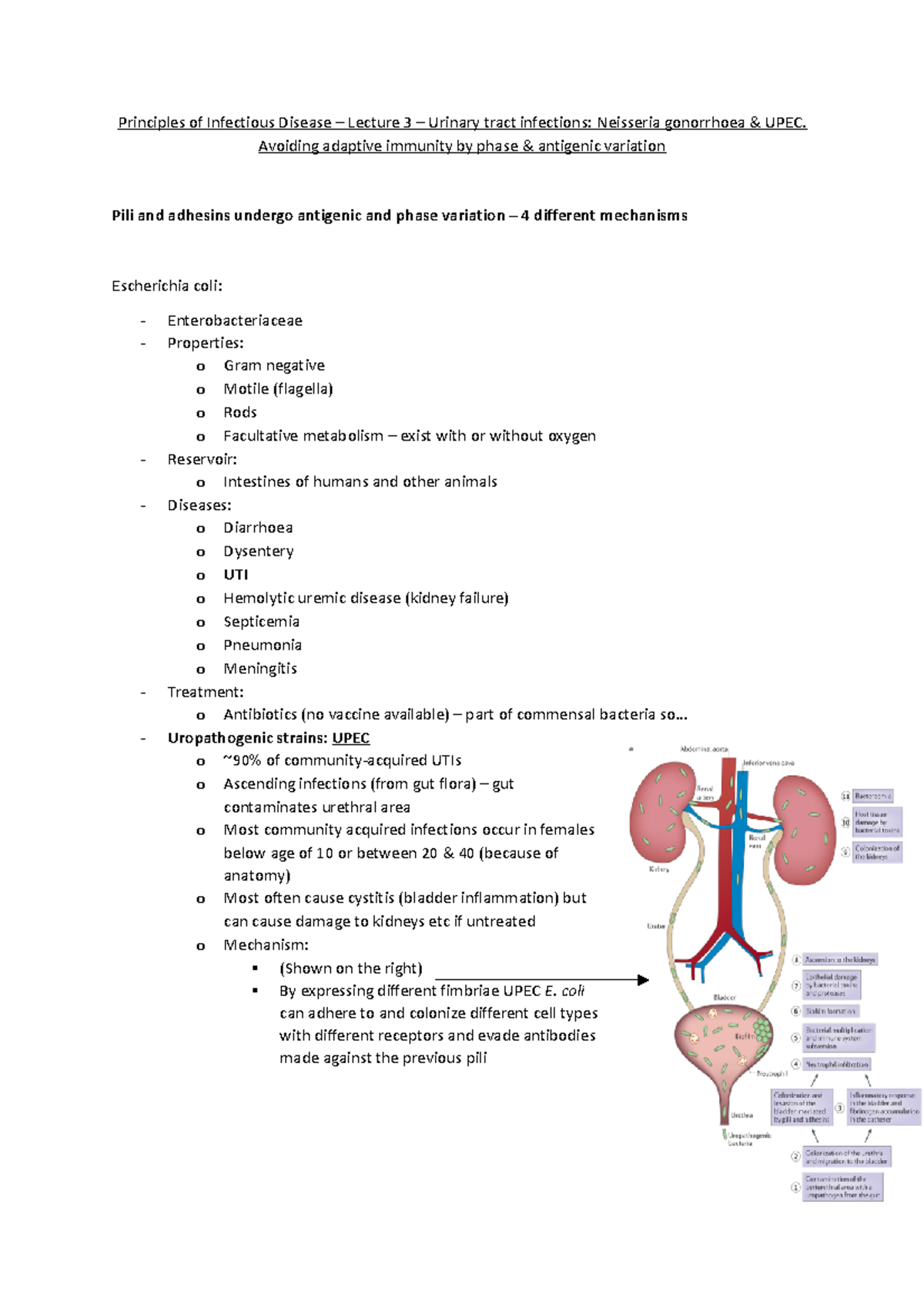 PID Lecture 3 - Urinary tract infections - Principles of Infectious ...