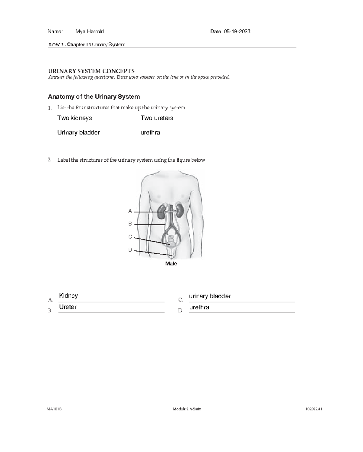 MA101B ROW 3 Chapter 13 completed - ROW 3 - Chapter 13 Urinary System ...