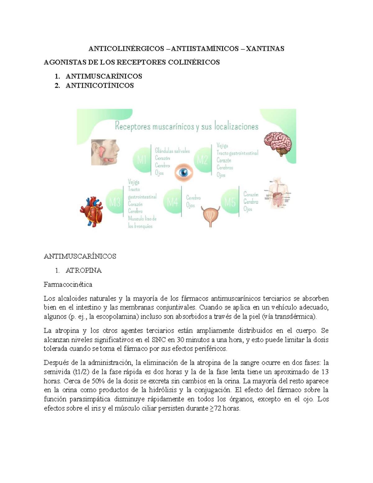 Anticolinérgicos - Descripción, farmacocinética, farmacodinamia ...