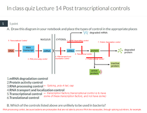 Lab Report 8 - For virtual lab on flies - Conclusions: During what Ɵme ...