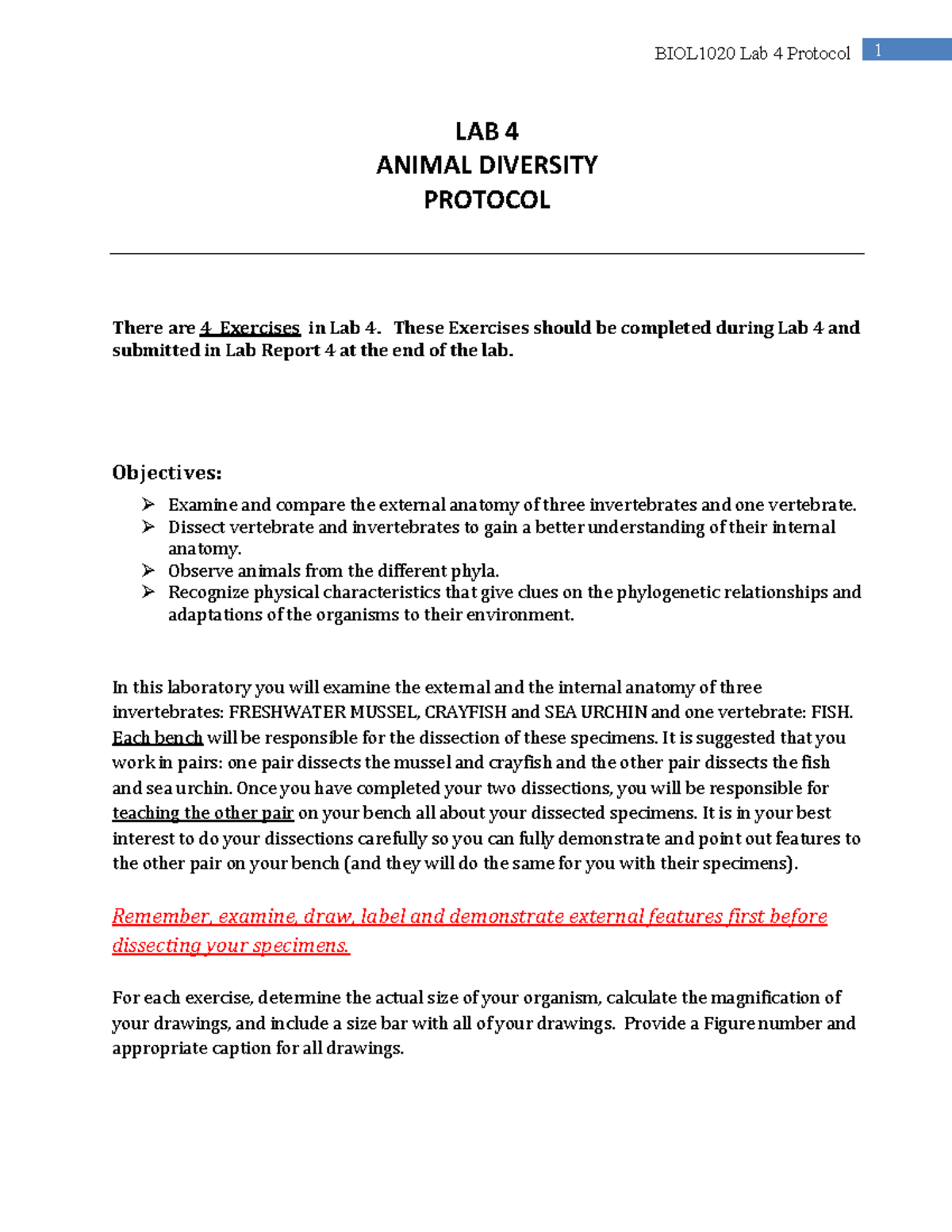 Lab 4 Protocol W2024 - LAB 4 ANIMAL DIVERSITY PROTOCOL There are 4 ...