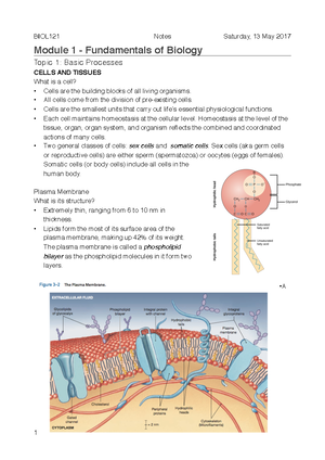 ECA COE Brochure 2016 - Code of Ethics Early Childhood Australia ...