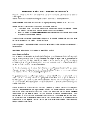 Fisio Unidad 2 SISTEMA CARDIOVASCULAR Y RENAL - UNIDAD 2. Cardiocitos ...