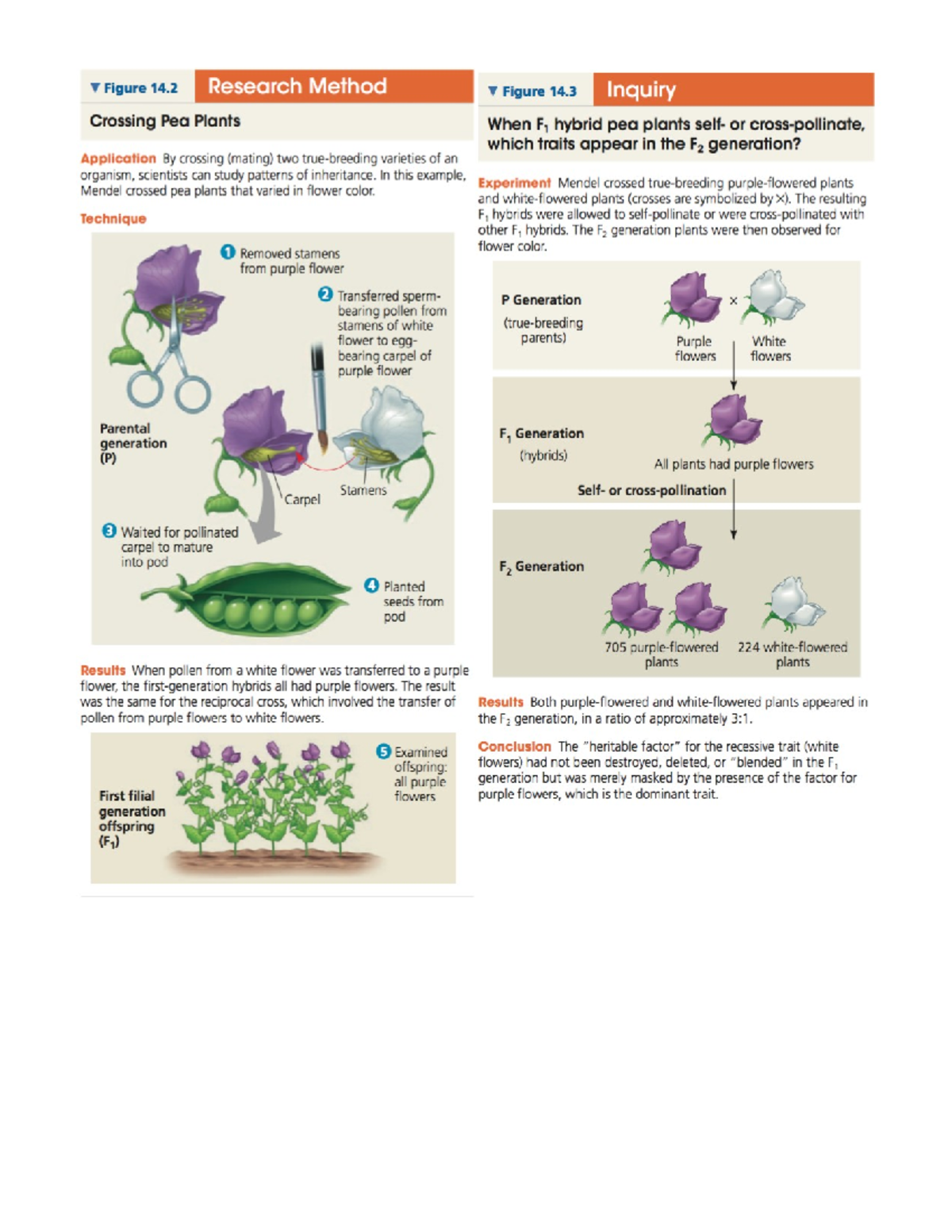 Lecture 12 Figures - vrigun 1e: Research Method v Figure 14a Crossing ...