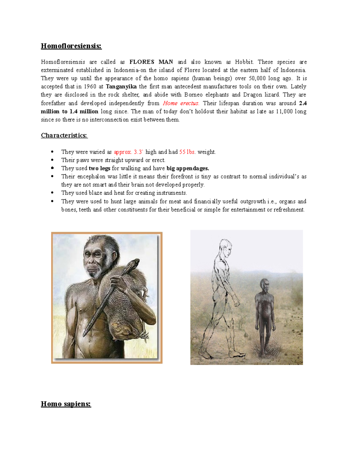 Homofloresiensis - Homoflorescence - Homofloresiensis: Homofloresiensis ...