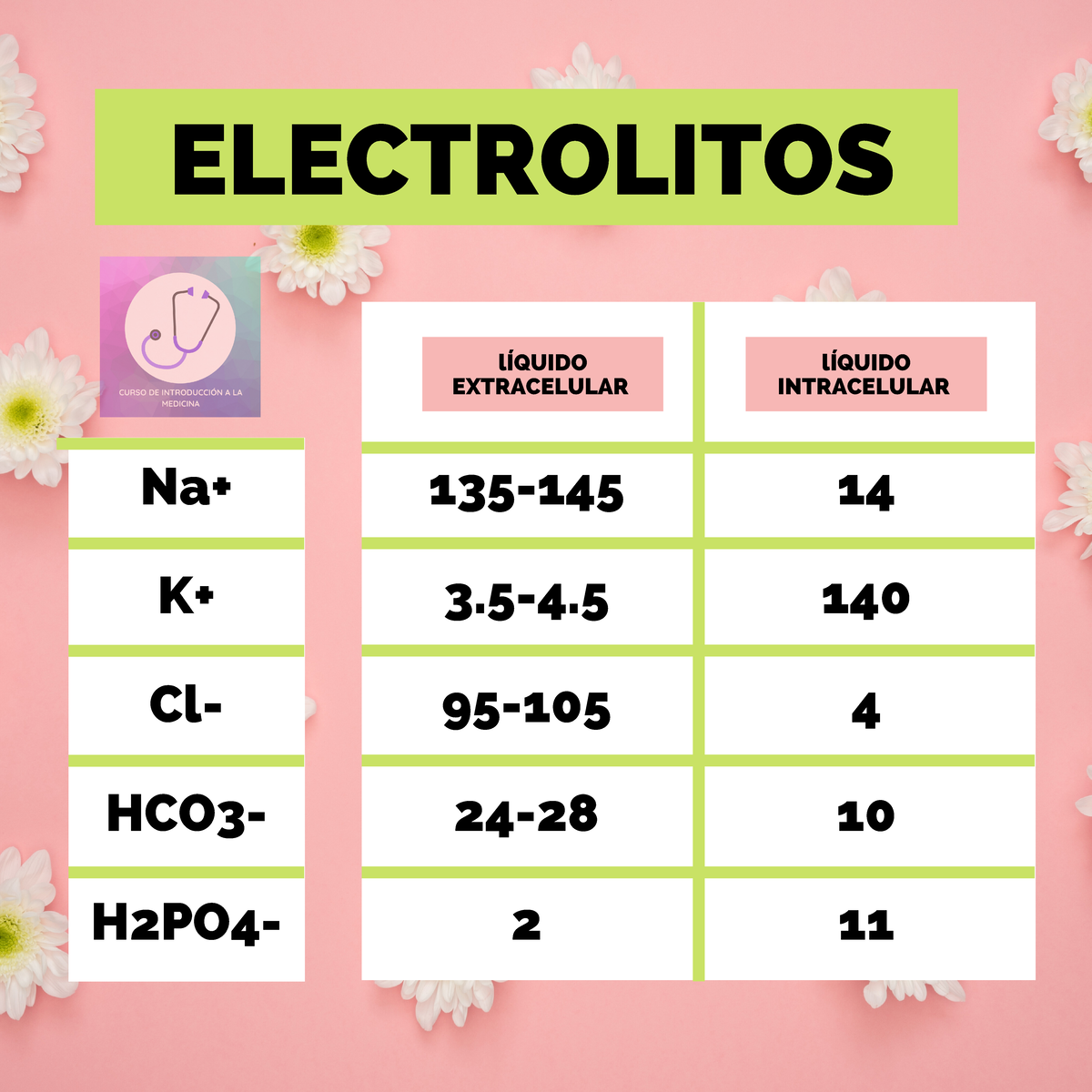 Electrolitos - Resumen Bioquímica Medica II - EXTRACELULARlÍQUIDO INTRACELULAR lÍQUIDO Na+ K+ Cl ...