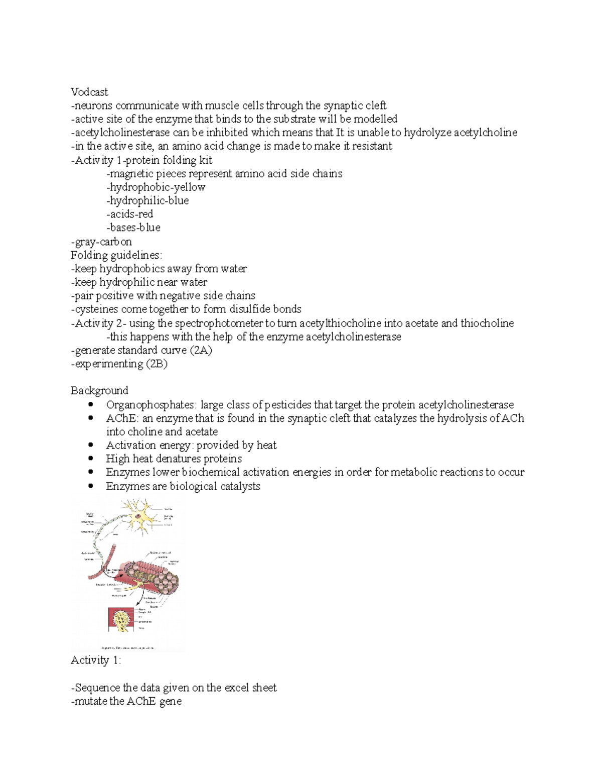 Prelab 11 - Pre Lab assignment of BIO 204 which includes the ...