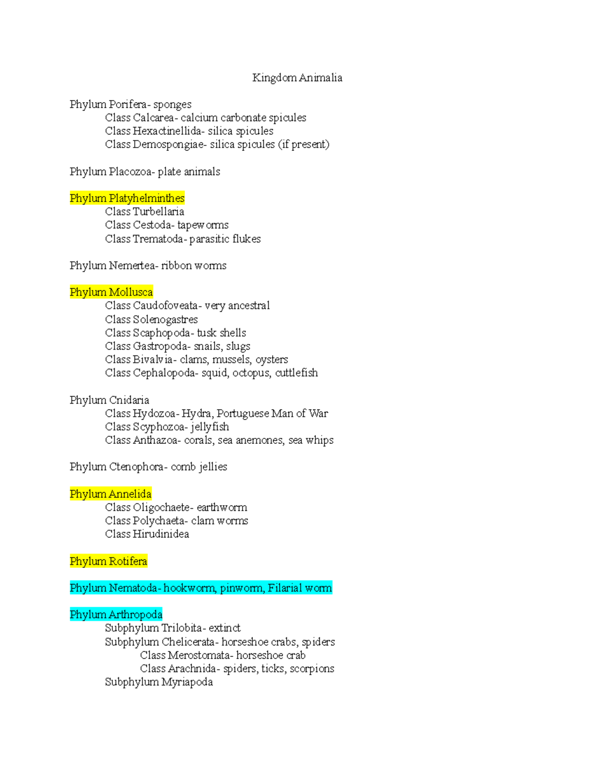 Kingdom Animalia - lecture notes - Kingdom Animalia Phylum Porifera ...