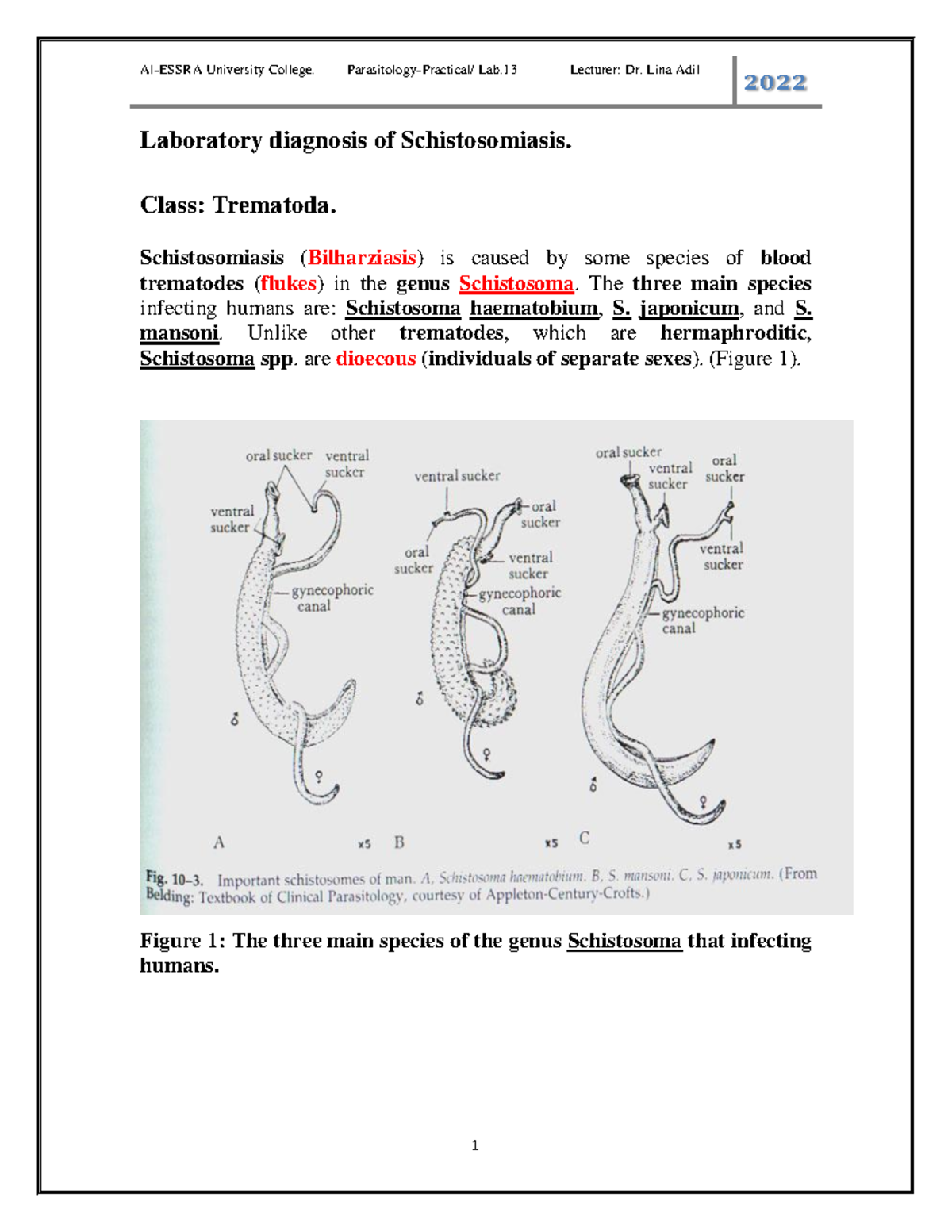 Laboratory diagnosis of Schistosomiasis - Al-ESSRA University College ...