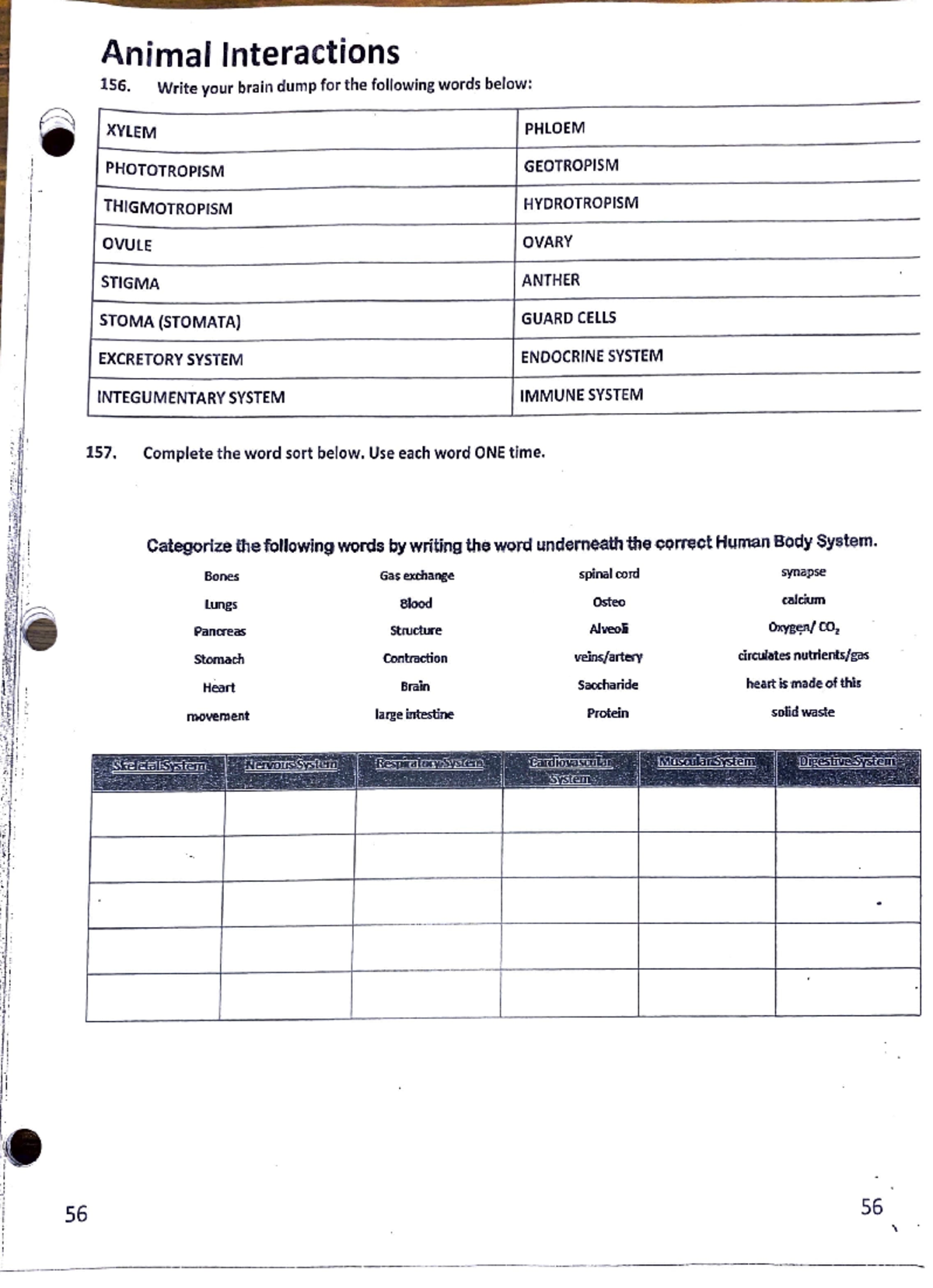 Animal and plant systems - Studocu