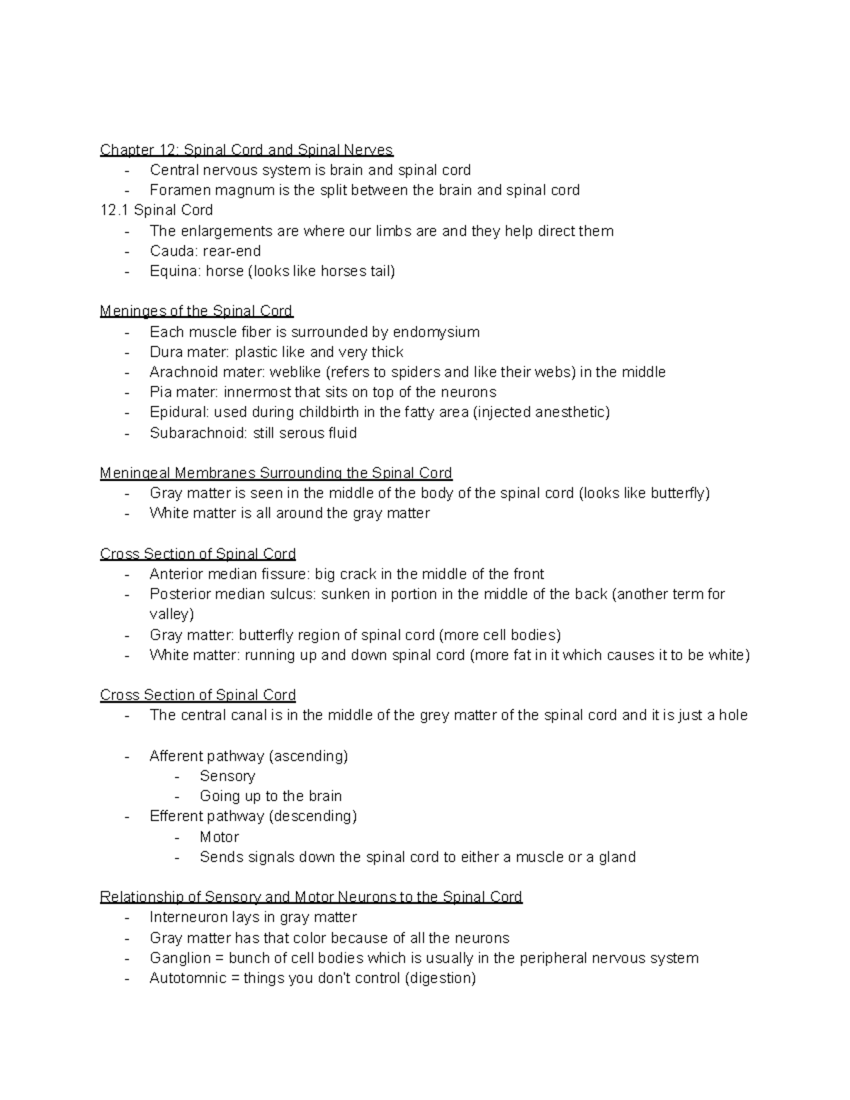 Chapter 12 Spinal cord and Reflex arcs - Chapter 12: Spinal Cord and ...