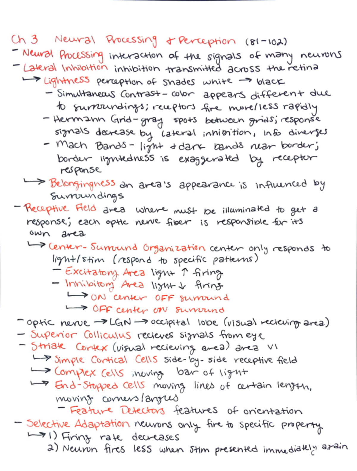Week 2b Lecture And Assigned Reading Notes Of Many Neurons Own Ch 3