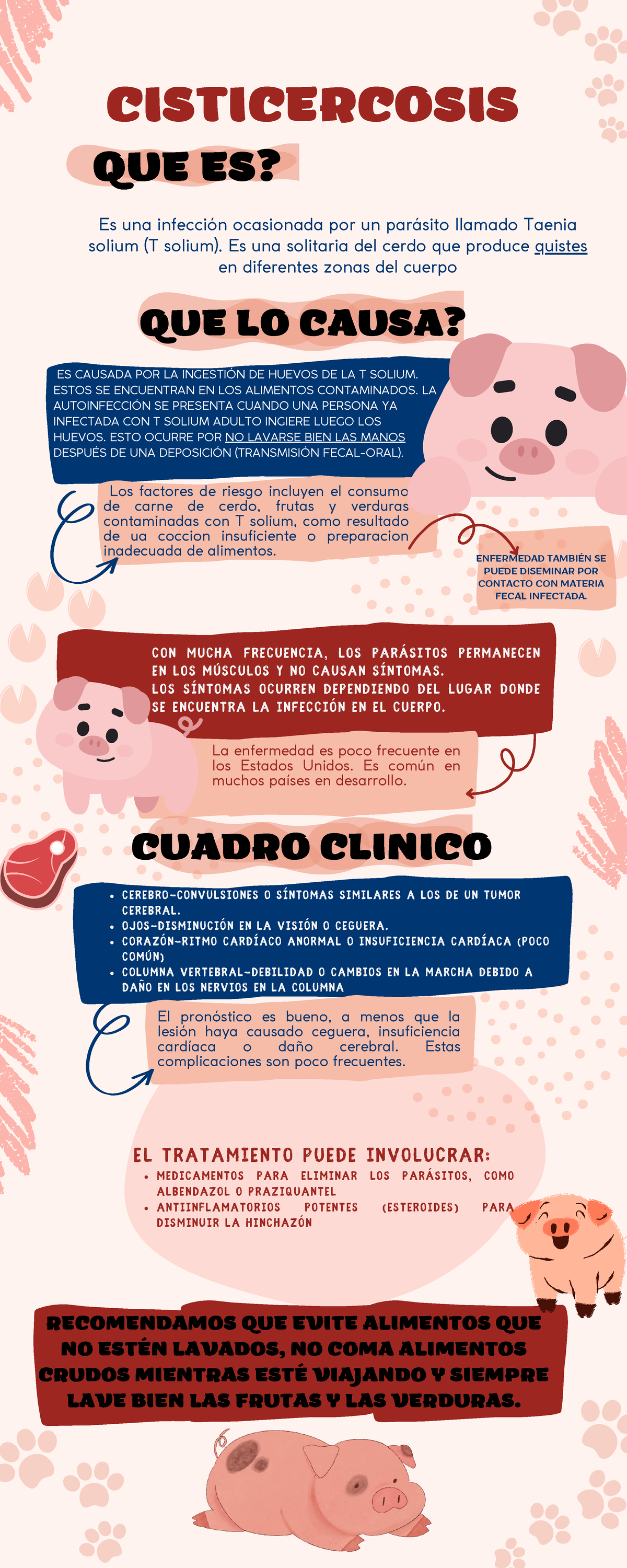 Cisticercosis - INFOGRAFIA CISTERCOSIS - CISTICERCOSIS La enfermedad es ...