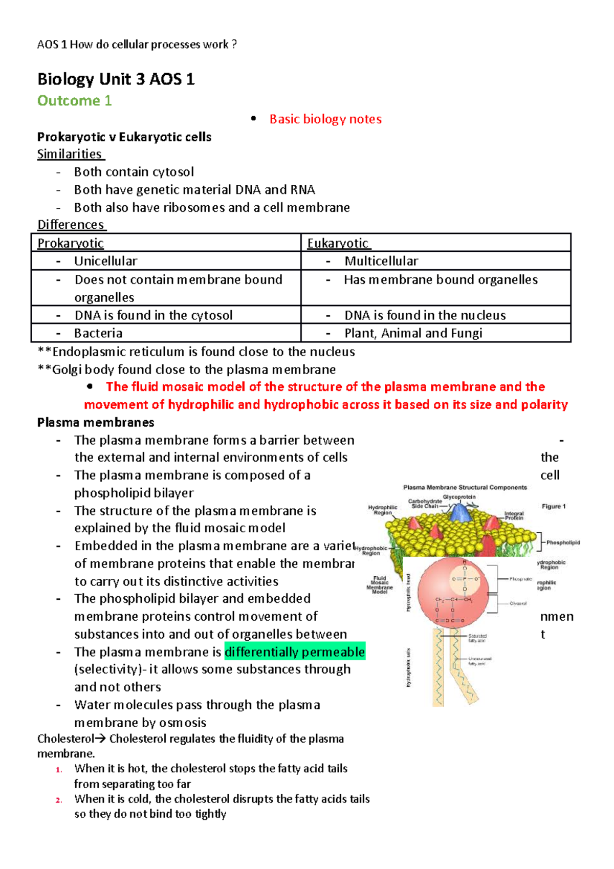 Biology UNIT 3 AOS 1 Notes FULL - Biology Unit 3 AOS 1 Outcome 1 Basic ...