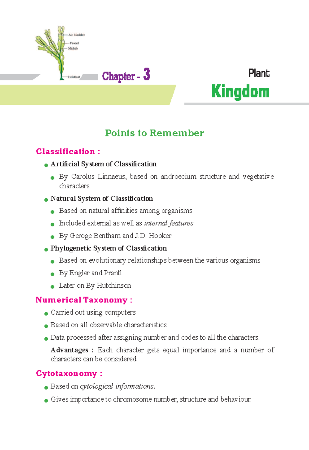 Plant kingdom - Points to Remember Classification : þ Artiicial System ...