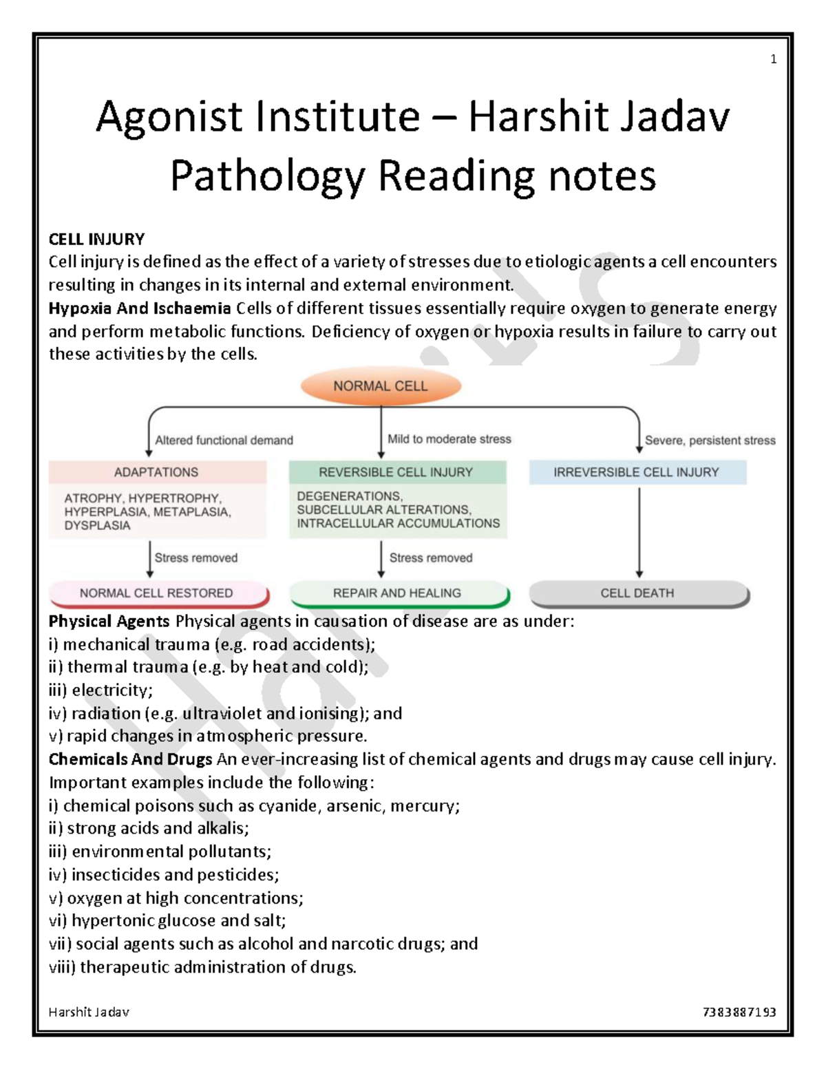 Cell Injury Pathology Reading Notes Warning TT Undefined Function