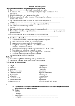 Surviving-Sepsis-Guideline-Infographic-Spanish-Translations (1) - Guía ...