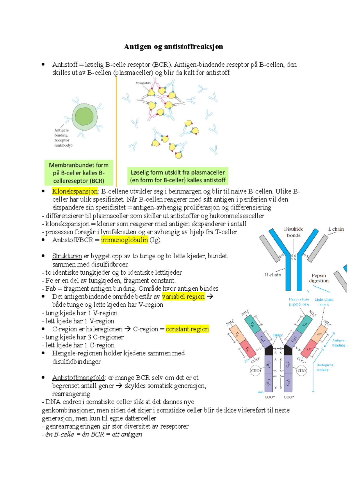 Antigen, antistoffreaksjon uke 19 - Antigen og antistoffreaksjon ...
