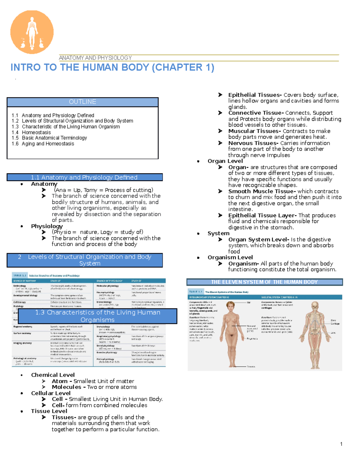 Anaphy Chapter 1 ( Final Notes) - Nursing - Studocu