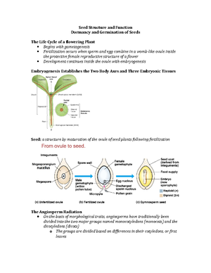 Pome Quiz - Quiz about stone fruits, pomes, rosacea and other edible ...