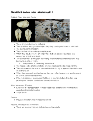 Planet Earth Lab Notes #3 Part 1 - Planet Earth Lab Notes #3 Part 1 ...