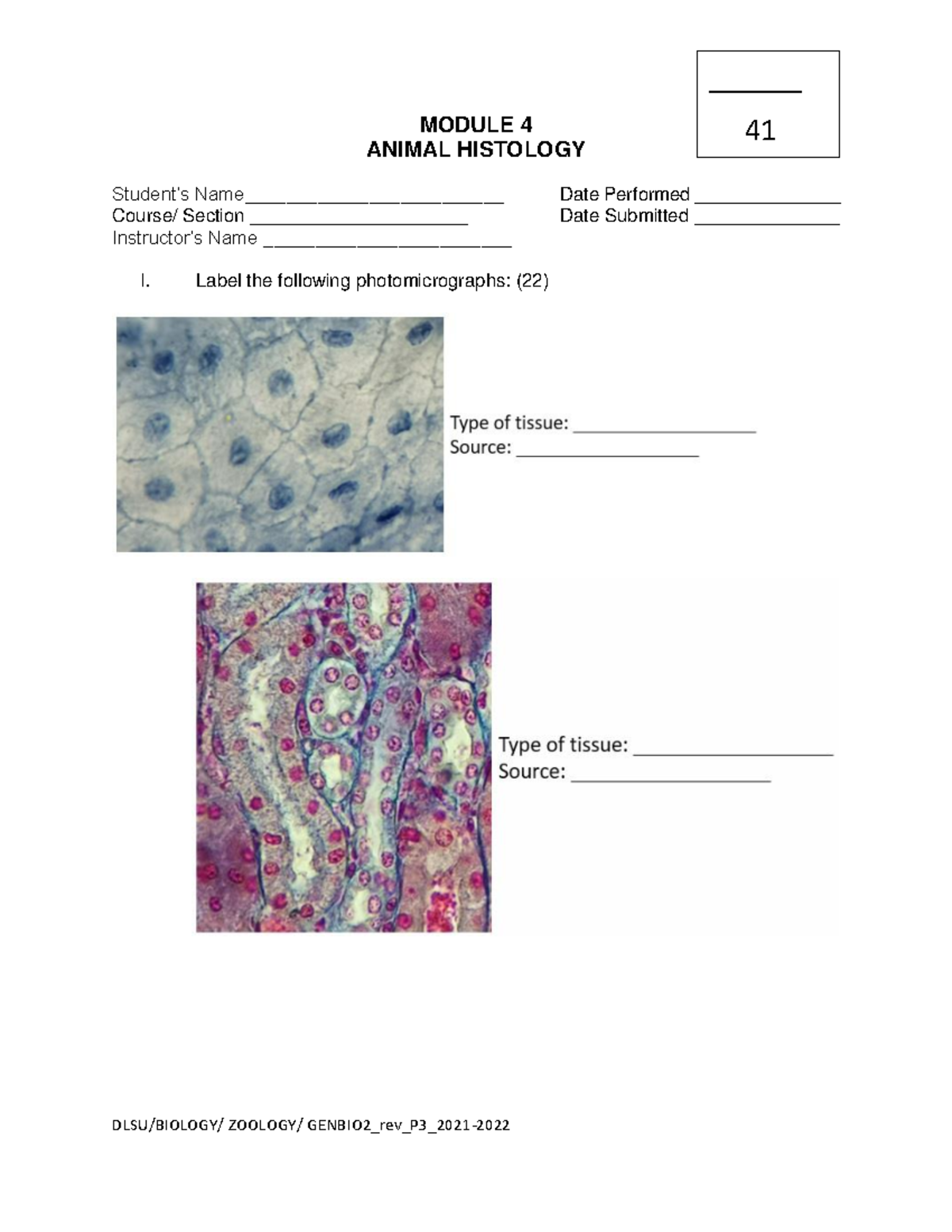Genbiolab animal histology - MODULE 4 ANIMAL HISTOLOGY Student’s Name