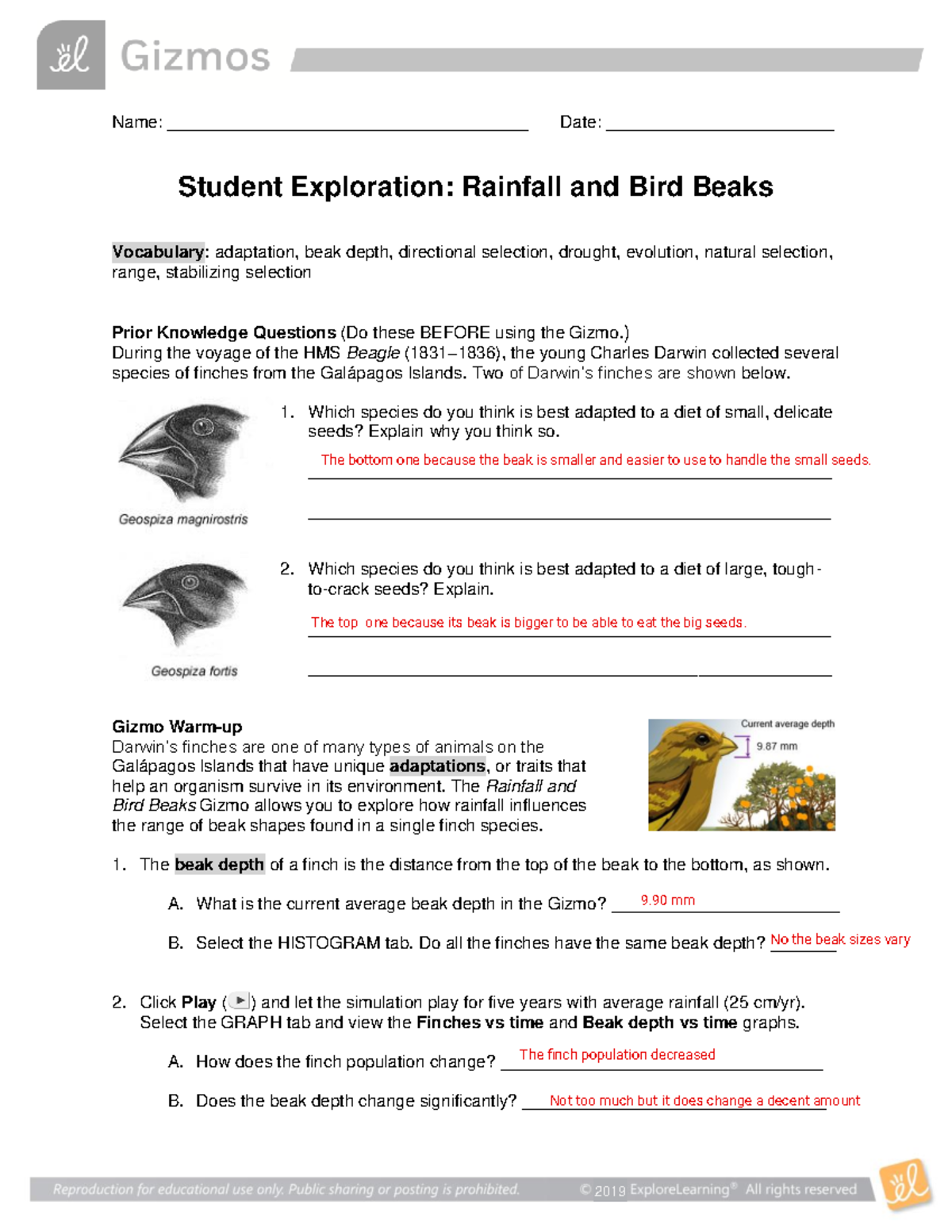 Kami Export - Rainfall Bird Metric SE - Name ...