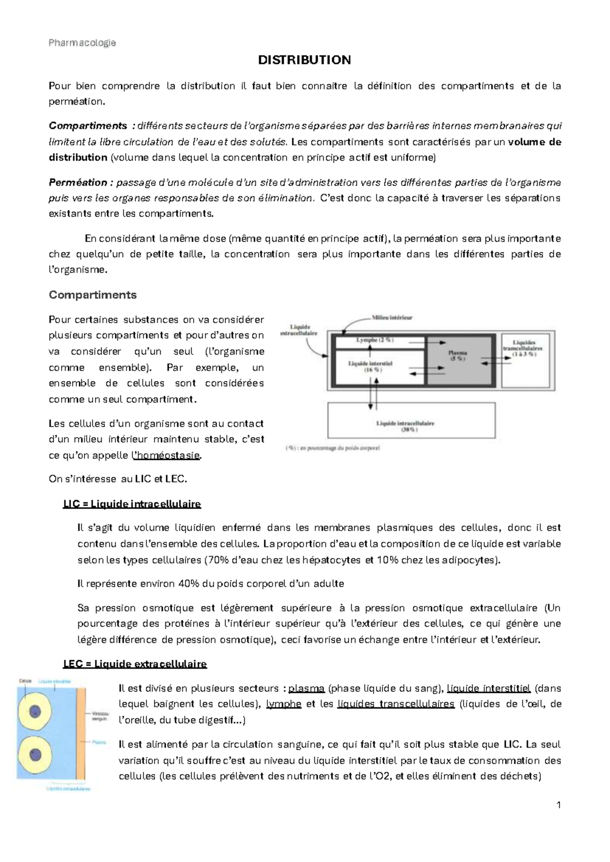 L2 SV 4.2b Pharmacologie - Distribution - DISTRIBUTION Pour bien ...
