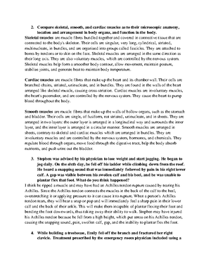 BIOL 2320 - Chapter 6 The Muscular System Lesson copy - BIOL 2320 - Studocu