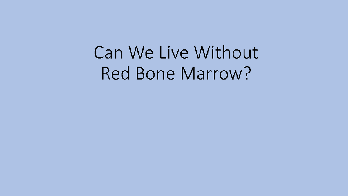 Assignment PPT - Can We Live Without Red Bone Marrow? Red bone marrow ...