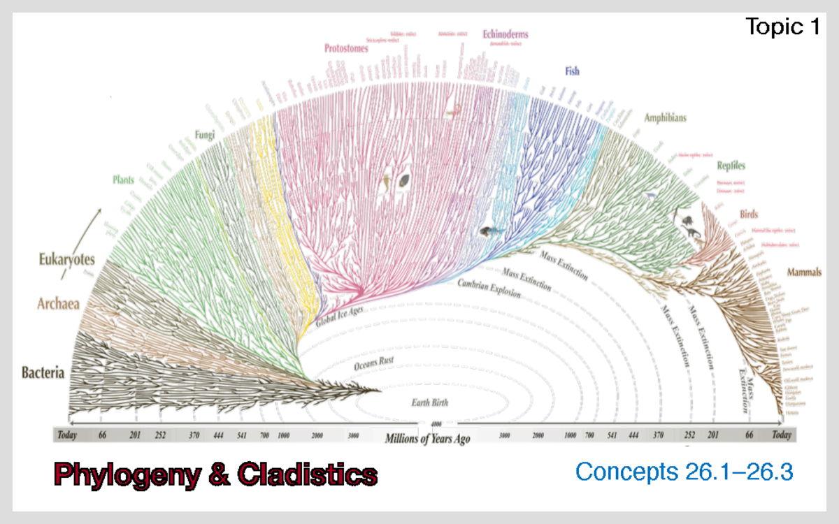 BIOL 1030 - Topic 1 - this course is bio1030 lectures and lab ...