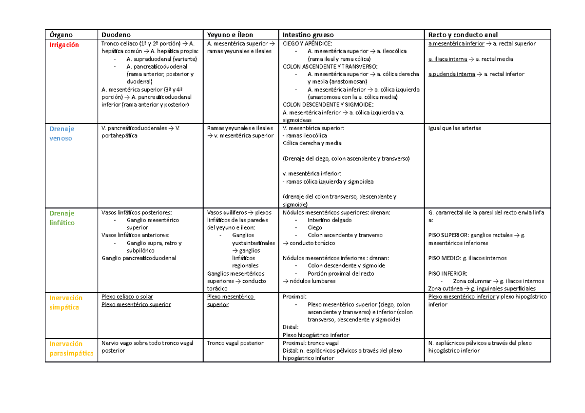 Resumen AnatomíA M7 - Apuntes de anato - Órgano Duodeno Yeyuno e Íleon ...