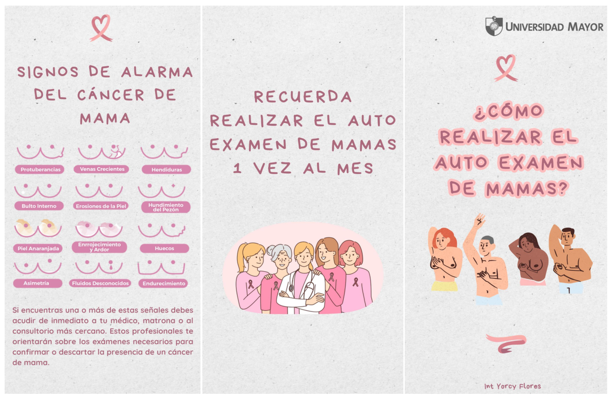 Triptico DE AUTO Examen DE MAMAs - UNIVERSIDAD MAYOR SIGNOS DE ALARMA ...