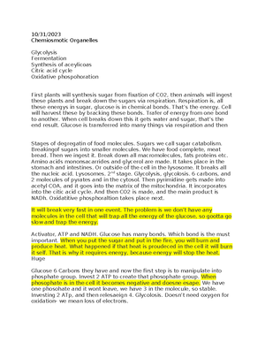 BIO 381 exam 1 - Cell Bio First exam notes - Cell Membrane: outside of ...