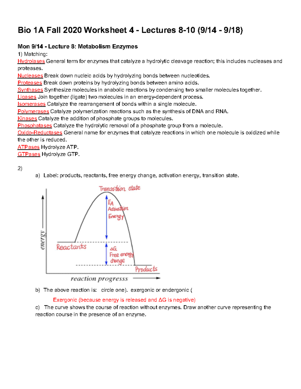 Bio 1A Worksheet 4 - Answer Key - Bio 1A Fall 2020 Worksheet 4 ...