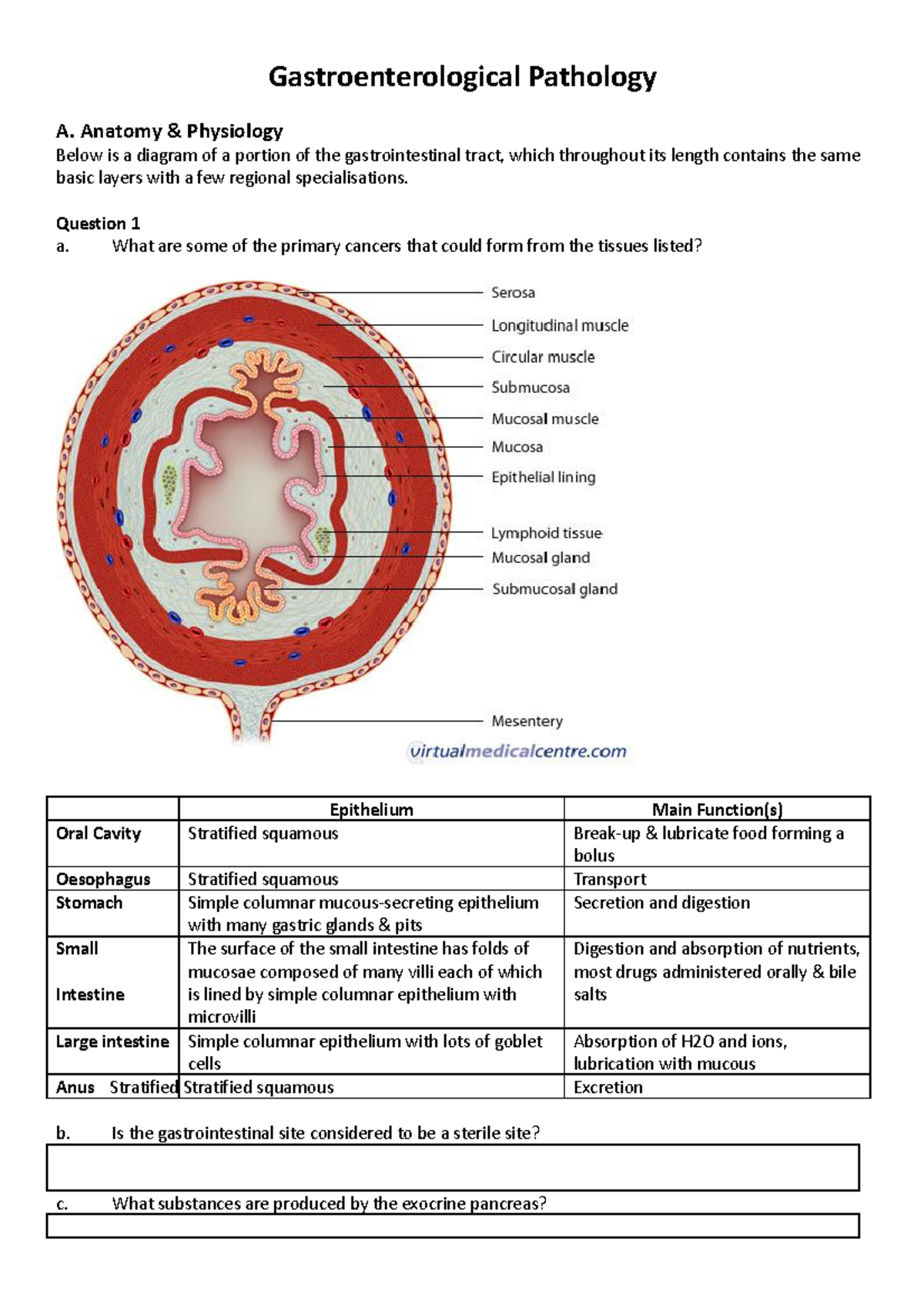2019 SEM 2 CSB520 Gastroenterological Pathology - Gastroenterological ...