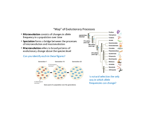 Intro to tables - I. Introduction to Tables A table x Is used to ...