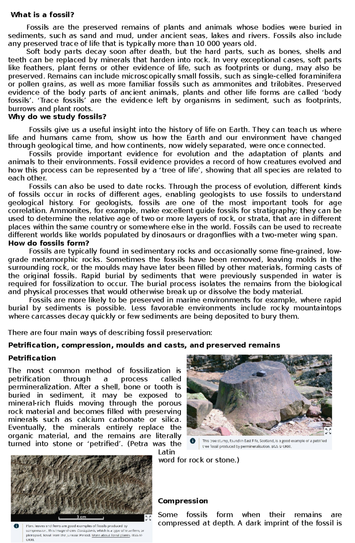 Catch up friday - What is a fossil? Fossils are the preserved remains ...