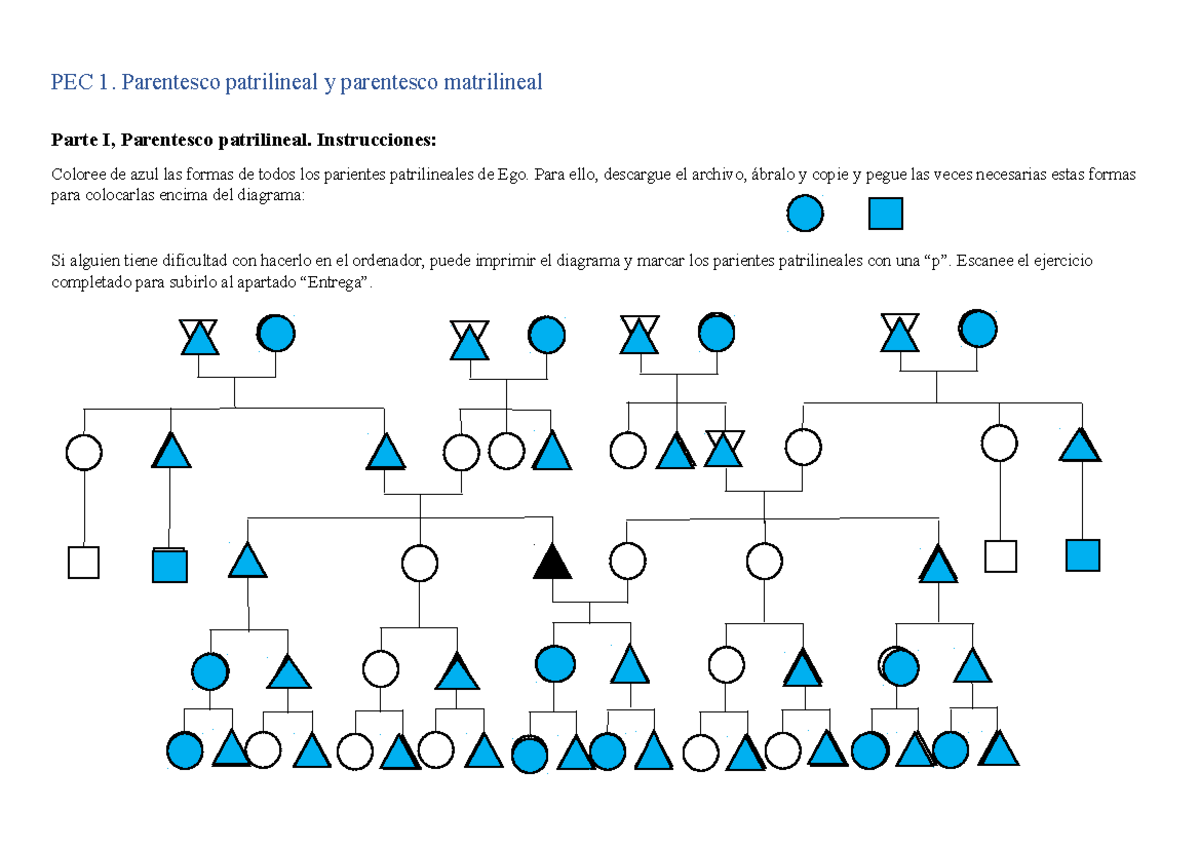 PEC 1 Parentesco Patrilinea Y Matrilineal - PEC 1. Parentesco ...