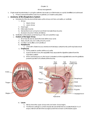 Ch. 10 (Patient Assessment) Notes - Patient Assessment (Chapter 10 ...