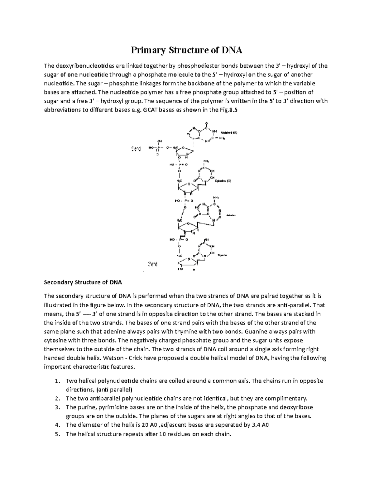Primary Structure of DNA - The sugar – phosphate linkages form the ...